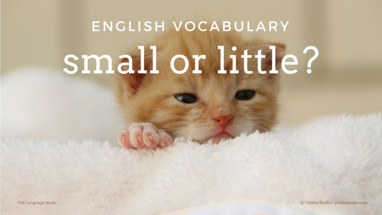 Small and little: what's the difference? | Yolaine Bodin
