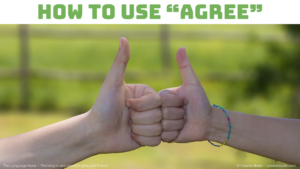 To agree - How to use agree in a sentence | Yolaine Bodin