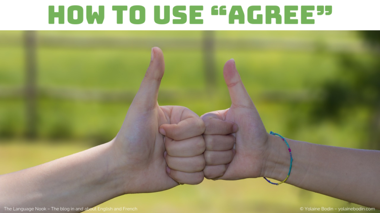 To agree - How to use agree in a sentence | Yolaine Bodin