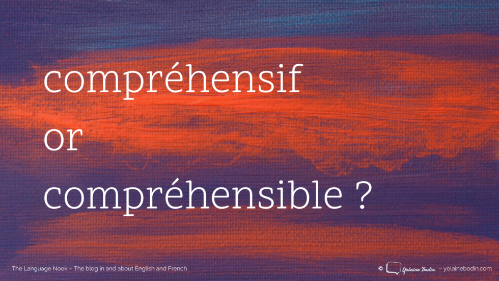 French adjectives compréhensif and compréhensible | Yolaine Bodin