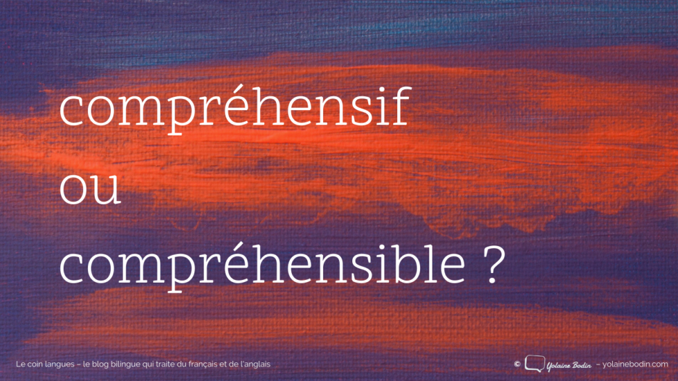 Faut-il dire compréhensif ou compréhensible ? | Yolaine Bodin